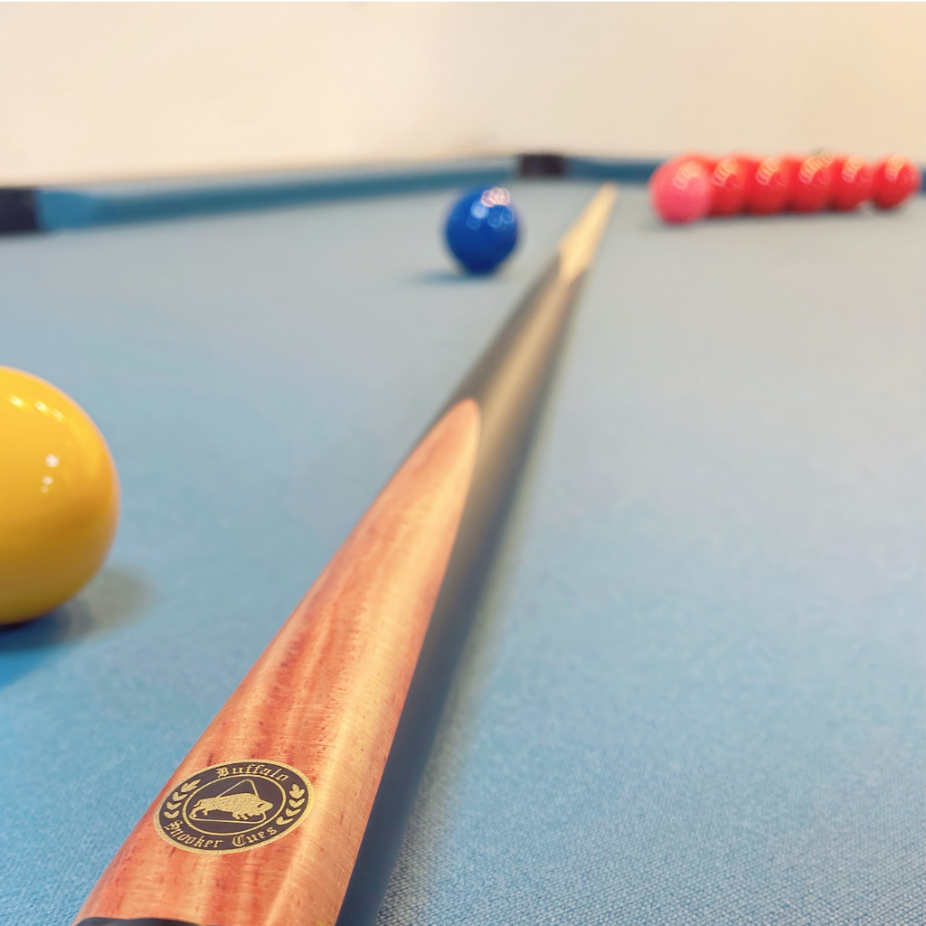 Billard snooker : règles, histoire et matériel de jeu | Eurobillards